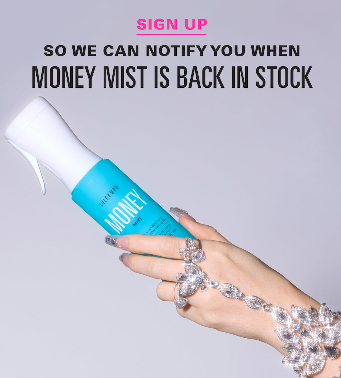 Money Mist Back in Stock Sign Up – Color Wow